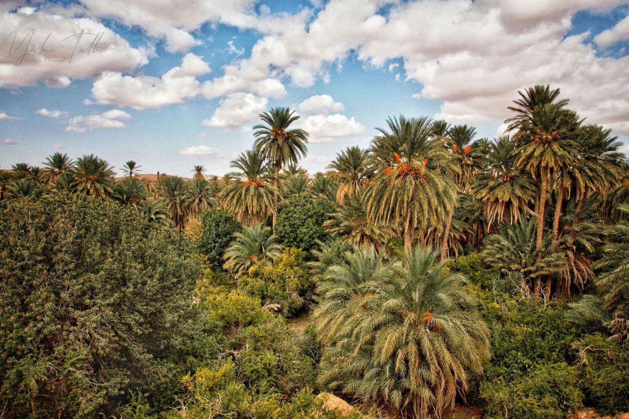 Ozone Depleting Substances (ODS) | ICVCM