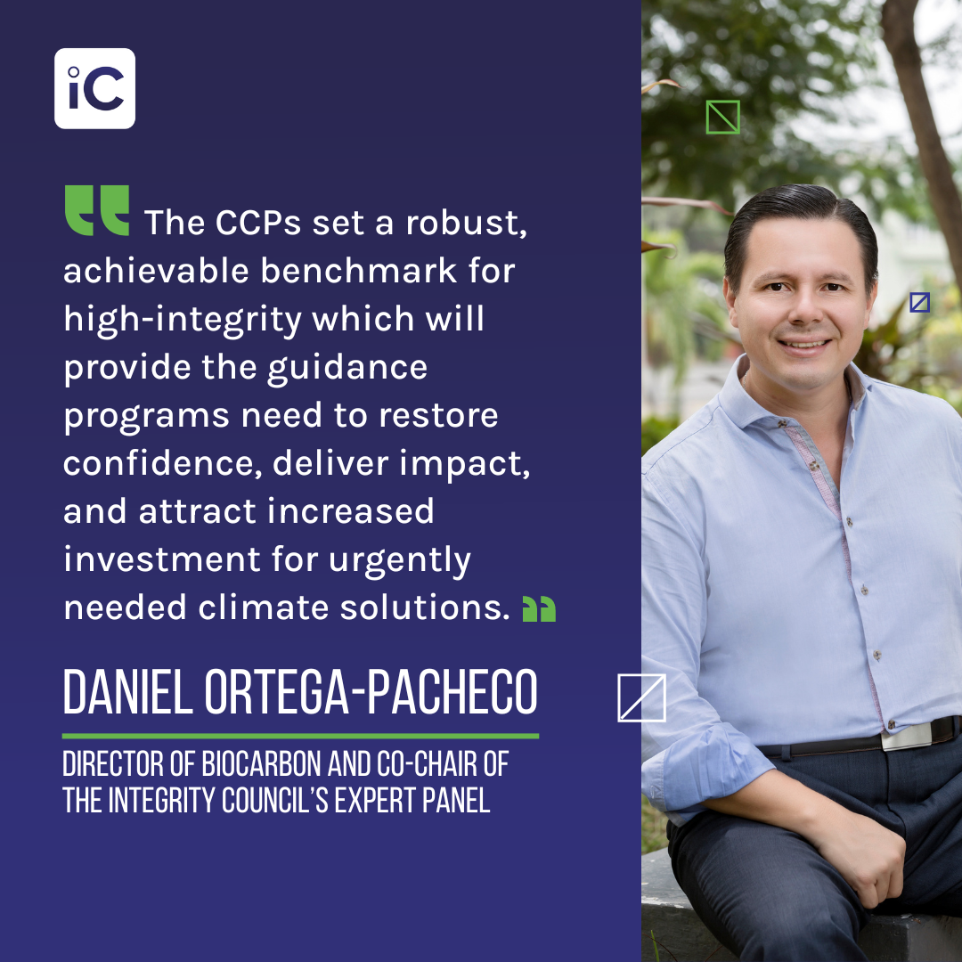 Global benchmark for high-integrity carbon credits aims to mobilize ...