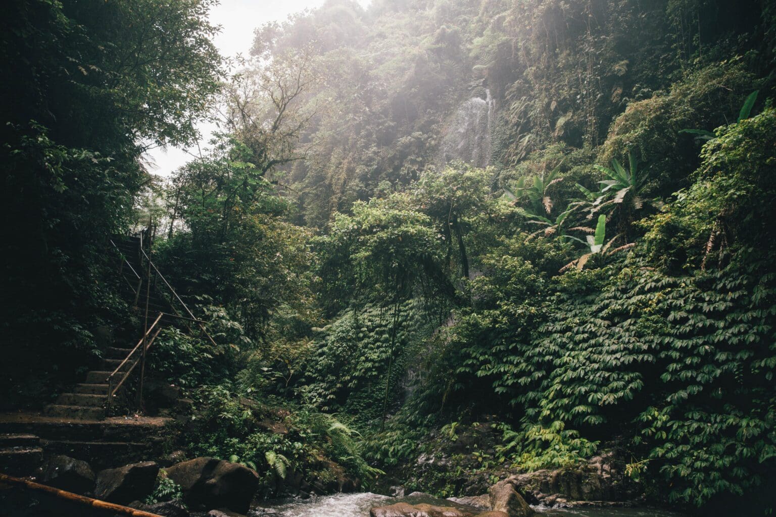 ICVCM announces first high-integrity CCP-labelled carbon credits